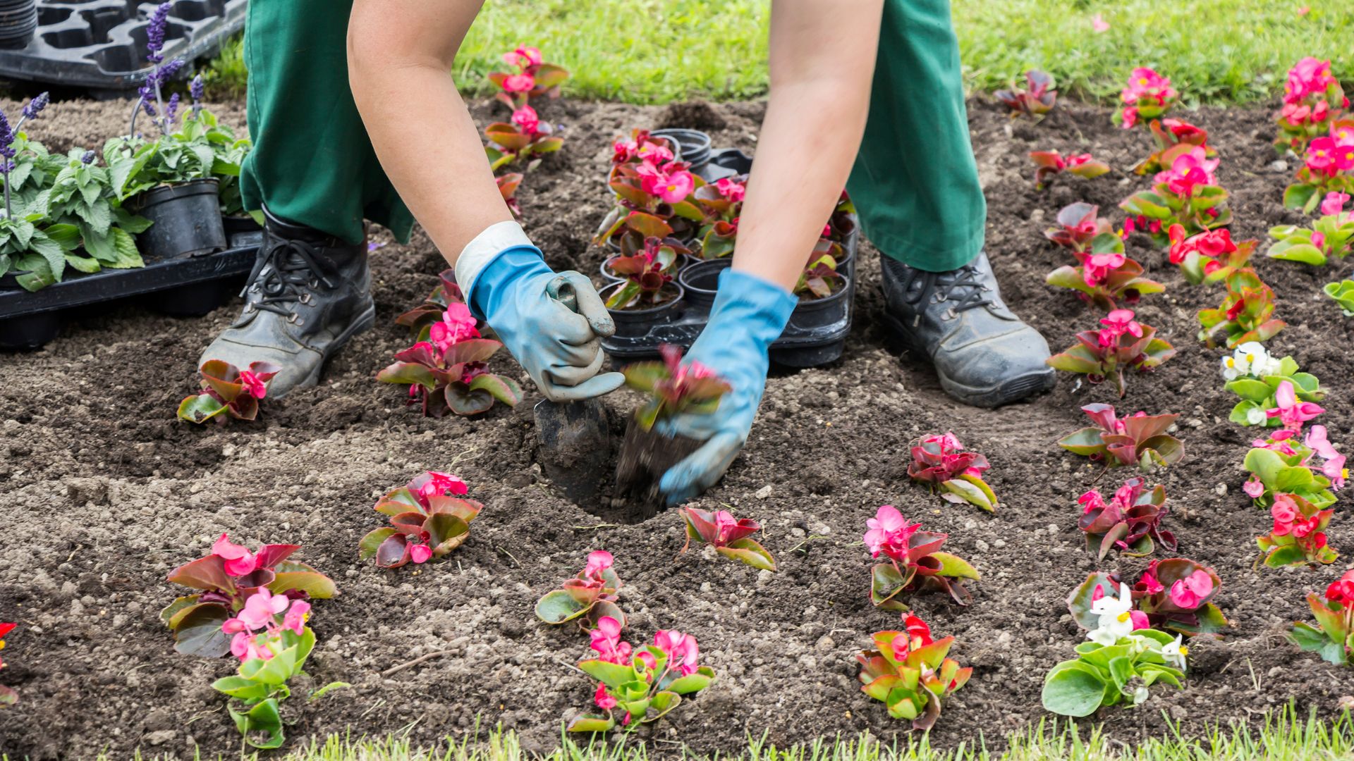 Landscape Hardscape Blog - JD Landscaping and Hardscaping